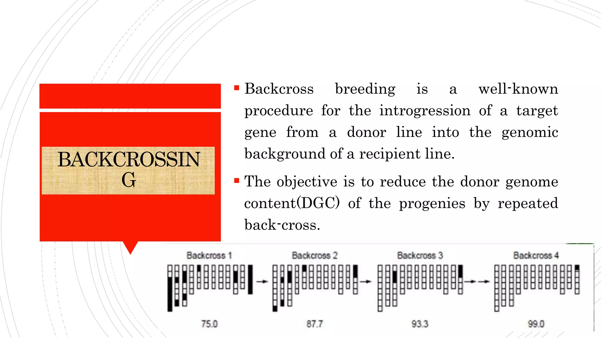 MARKER ASSISTED BACKCROSS BREEDING | PPTX