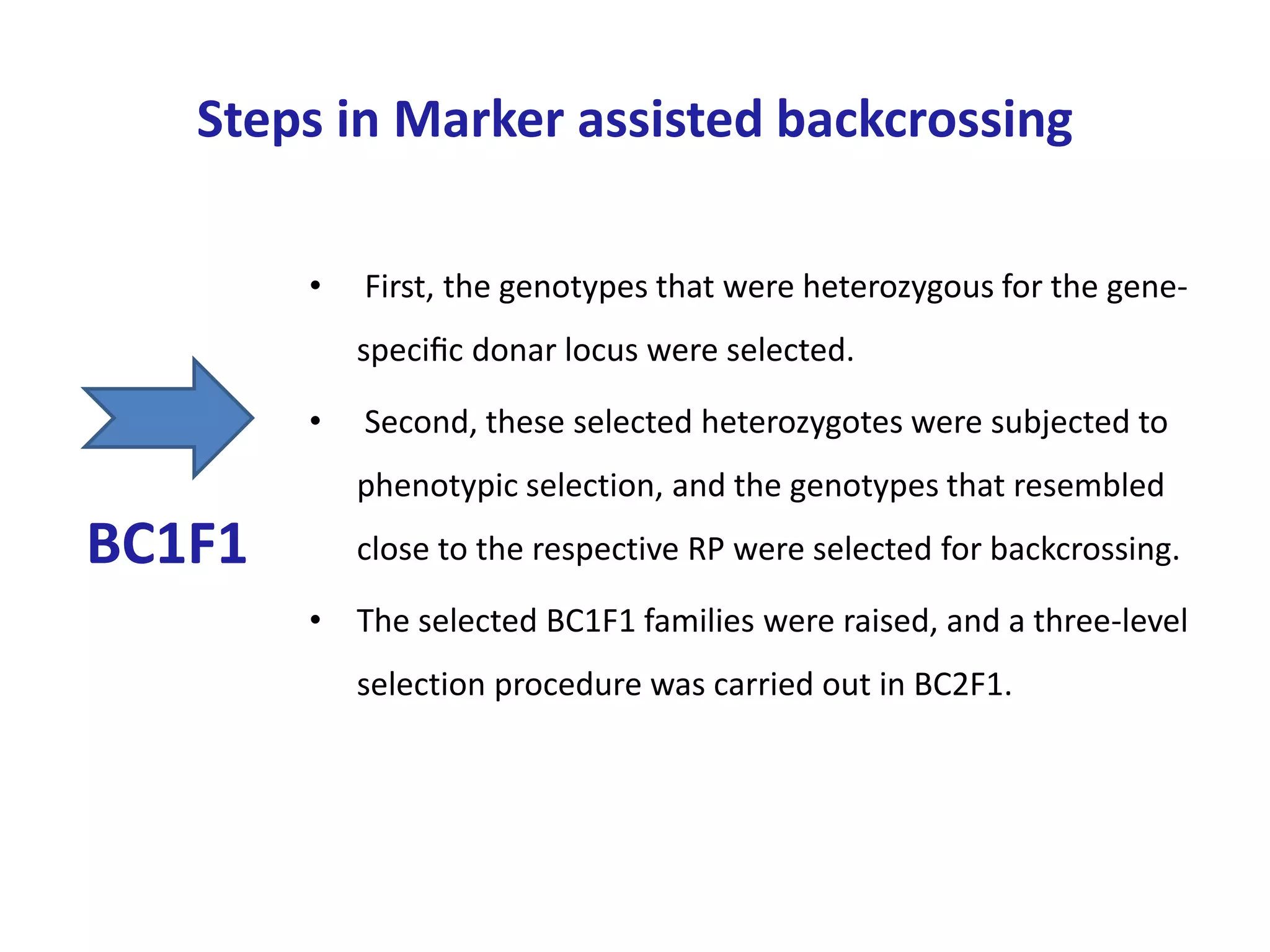 Marker Assisted Backcrossing | PPTX