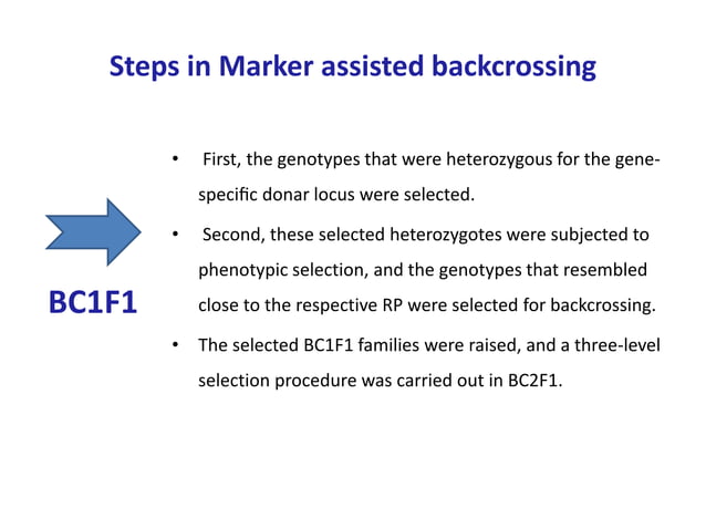 Marker Assisted Backcrossing | PPTX