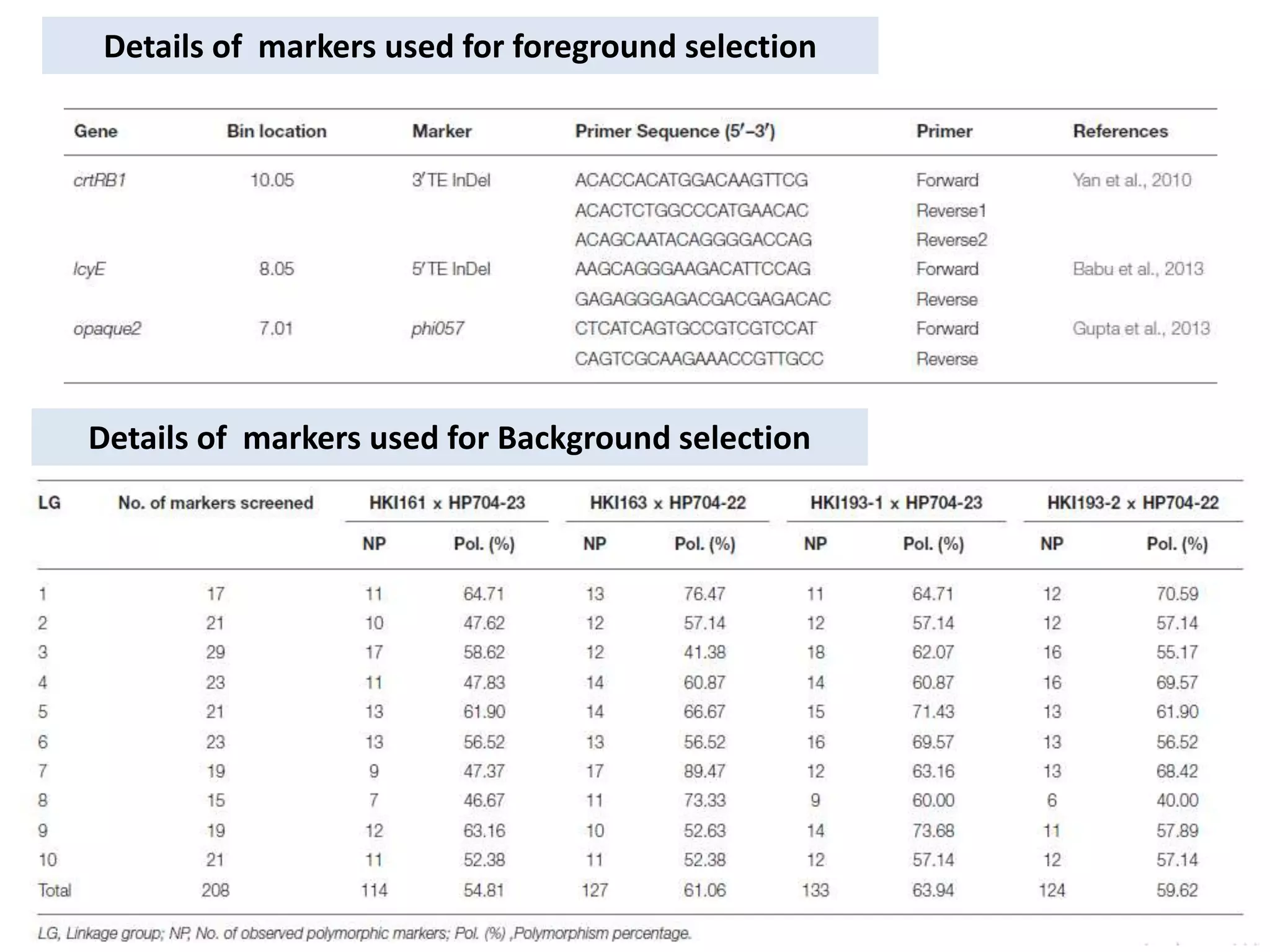 Marker Assisted Breeding in Maize | PPTX