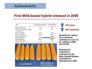 Marker Assisted Breeding in Maize | PPTX