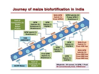 Marker Assisted Breeding in Maize | PPTX