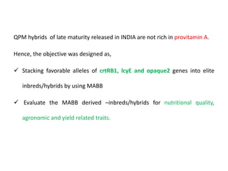Marker Assisted Breeding in Maize | PPTX