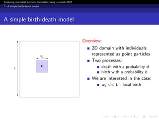 Exploring spatial pattern formation using a simple individual-based model | PPT