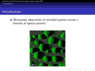 Exploring spatial pattern formation using a simple individual-based model | PPT