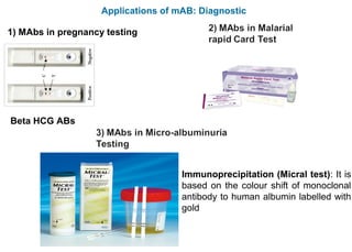 Monoclonal Antibodies and Hybridoma Technique | PPT