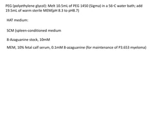 monoclonal antibody production & hybridization and charecterization | PPTX