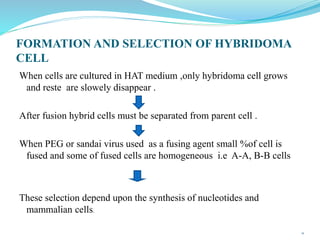 Monoclonal antibodies | PPTX | Chemistry | Science