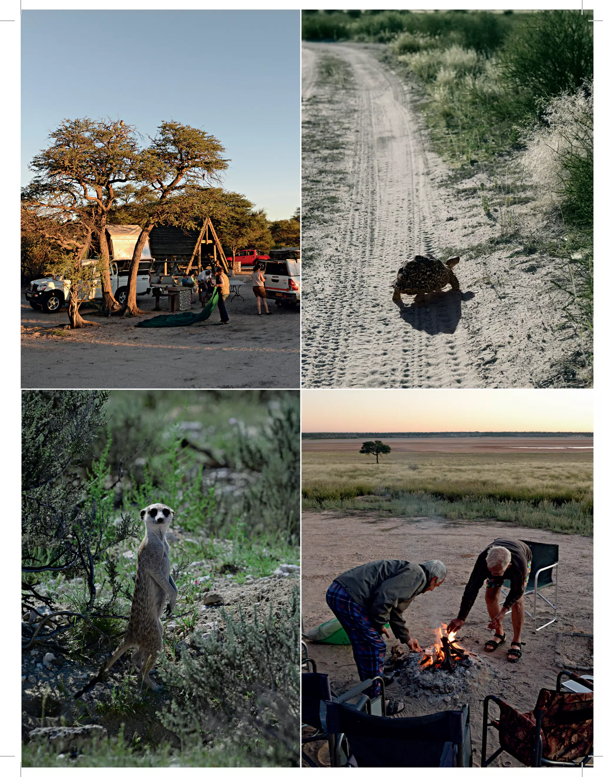 Mabua bares its teeth | PDF