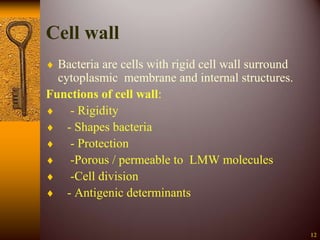 Understanding of the Bacterial Structure.ppt