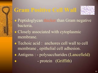Understanding of the Bacterial Structure.ppt