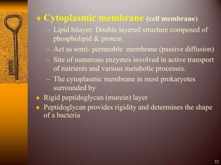 Understanding of the Bacterial Structure.ppt