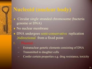 Understanding of the Bacterial Structure.ppt