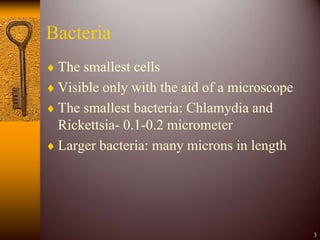 Understanding of the Bacterial Structure.ppt