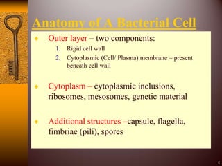 Understanding of the Bacterial Structure.ppt