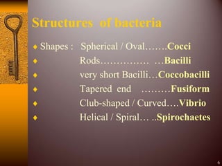 Understanding of the Bacterial Structure.ppt
