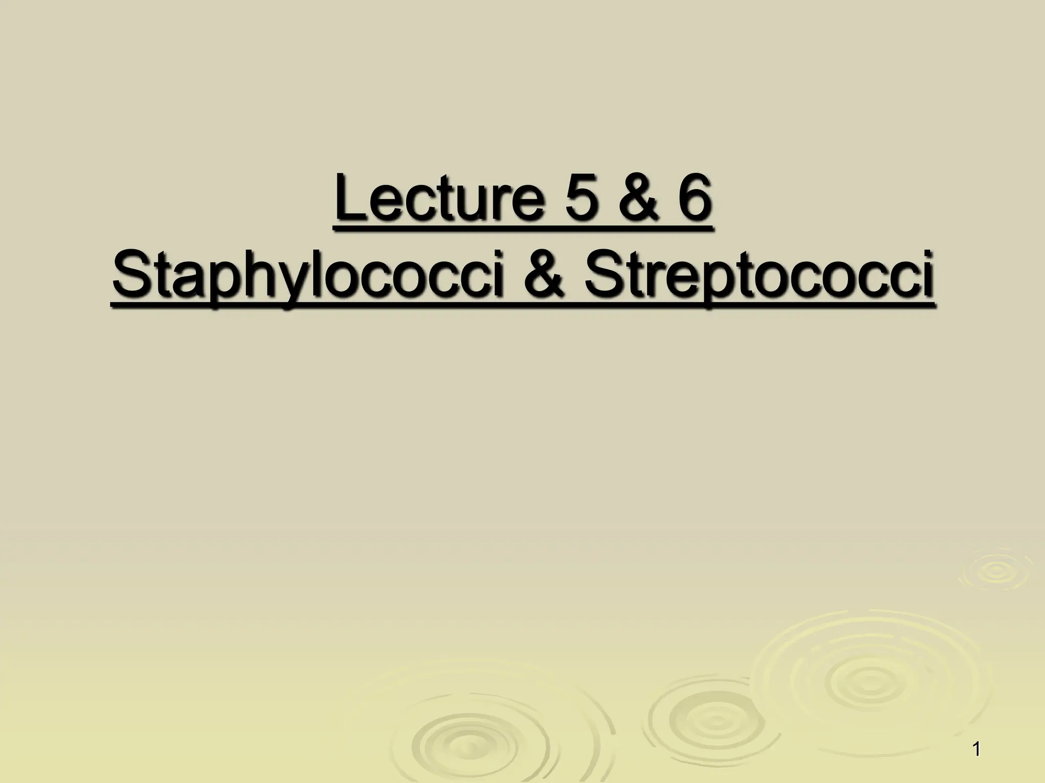 Staphylococci and Streptococci organisms.ppt