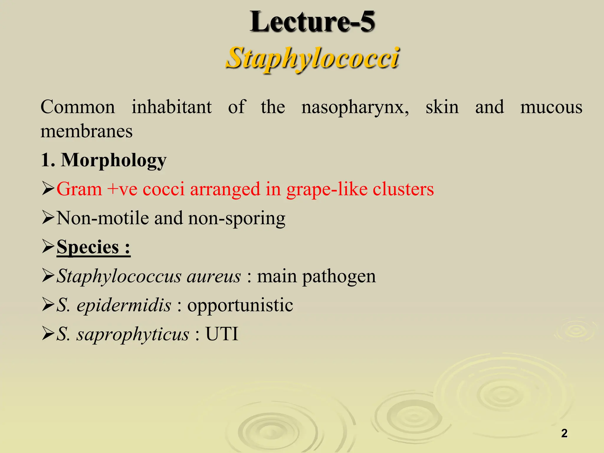 Staphylococci and Streptococci organisms.ppt