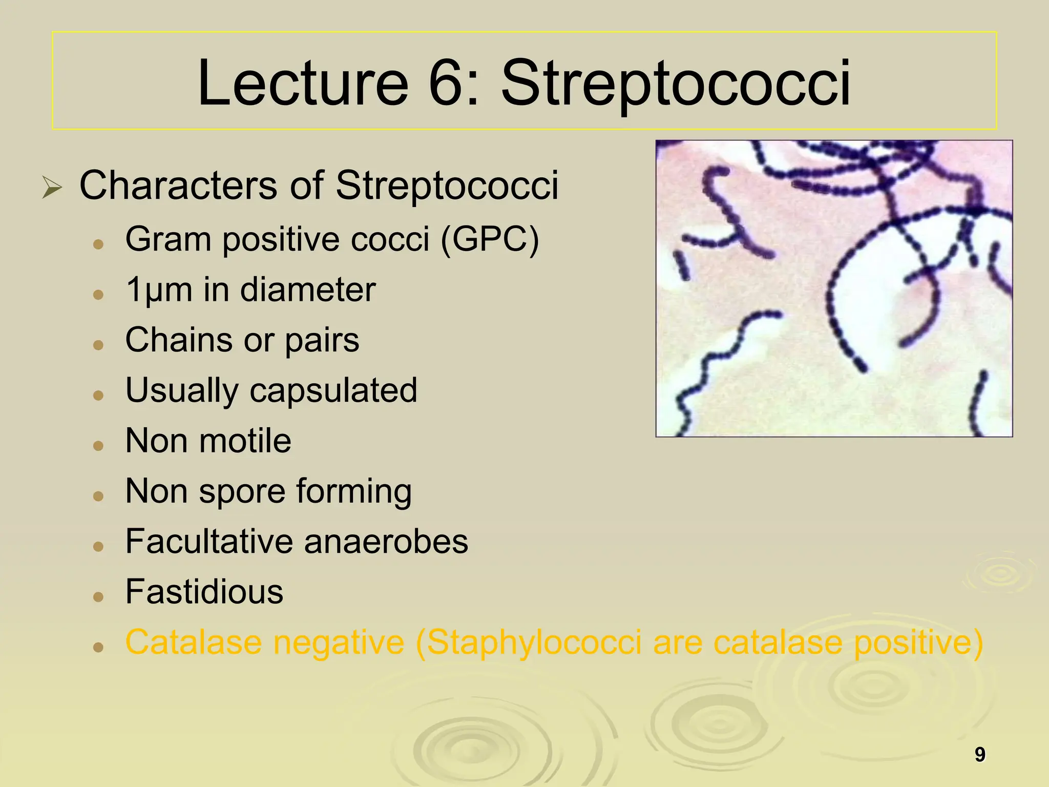 Staphylococci and Streptococci organisms.ppt