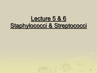 Staphylococci and Streptococci organisms.ppt