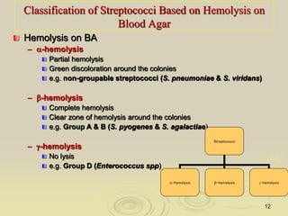 Staphylococci and Streptococci organisms.ppt