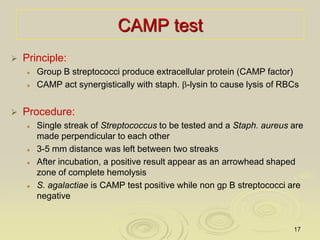 Staphylococci and Streptococci organisms.ppt