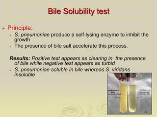 Staphylococci and Streptococci organisms.ppt