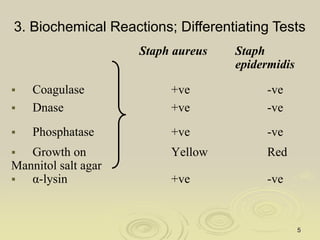 Staphylococci and Streptococci organisms.ppt