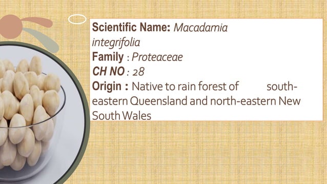 MACADAMIA NUT.ppt | Gardening | Home & Garden