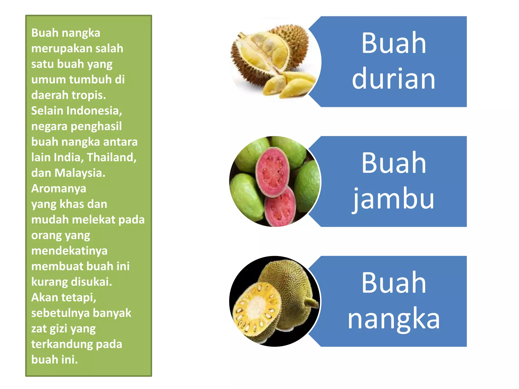 Macam macam buah gustina | PPT