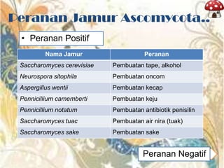Macam macam fungi | PPTX