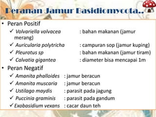 Macam macam fungi | PPTX