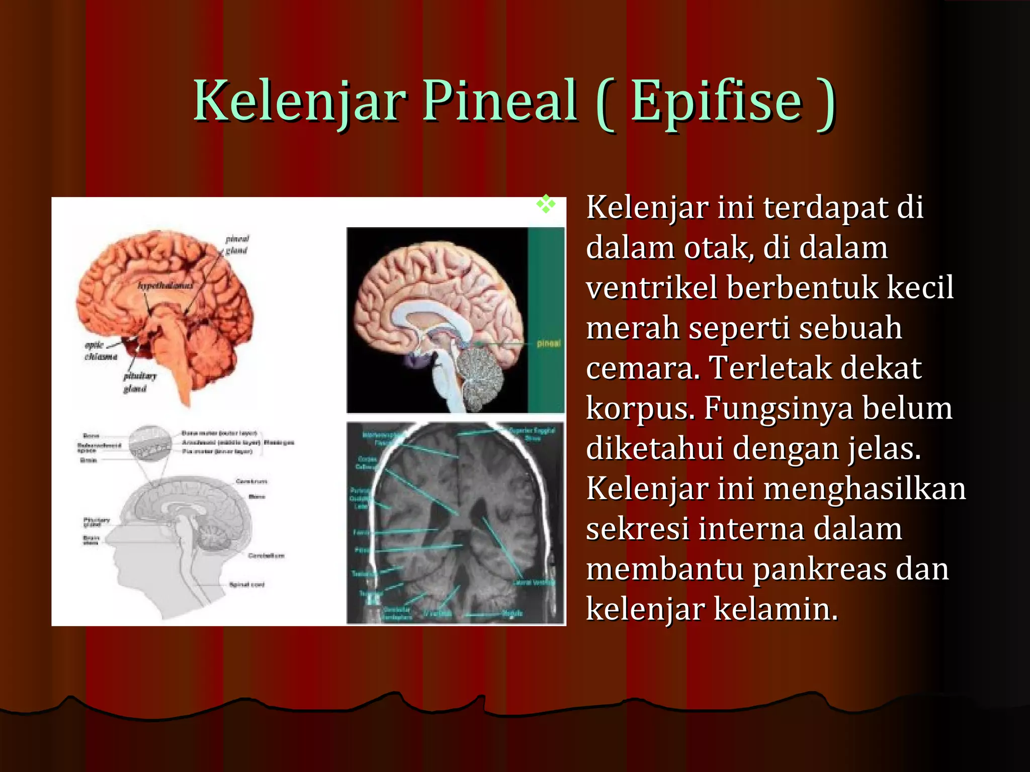 Macam macam jaringan dan kelenjar endokrin | PPT