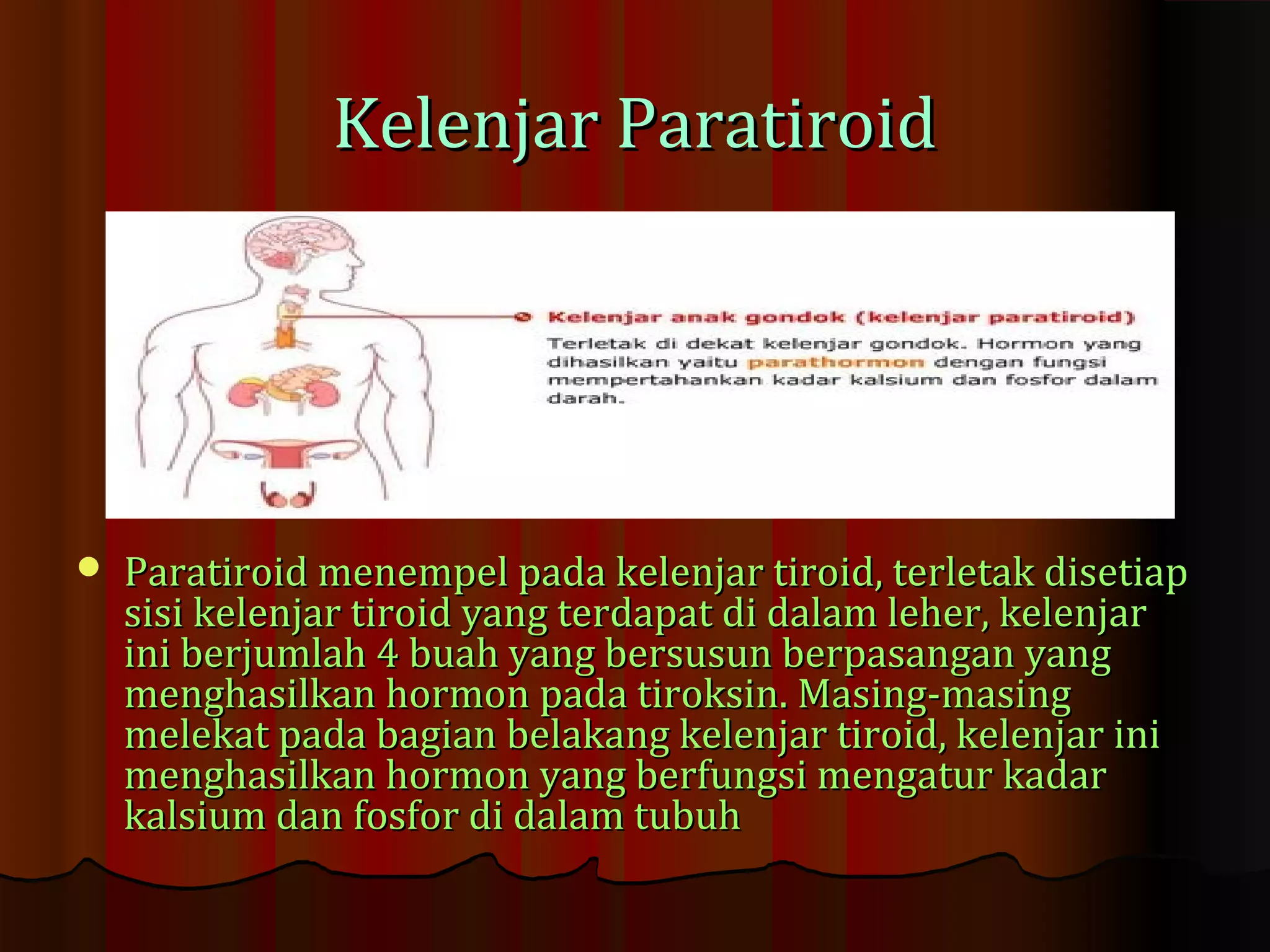 Macam macam jaringan dan kelenjar endokrin | PPT