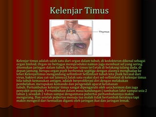 Macam macam jaringan dan kelenjar endokrin | PPT