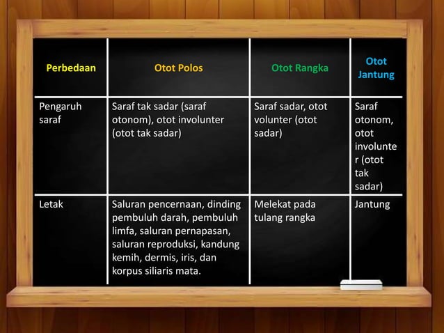 jenis-jenis jaringan otot | PPT
