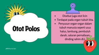Macam-macam Otot dan cara kerjanya pada tubuh.pdf
