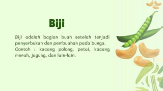 Macam-Macam sayur Sayuran berdasarkan warna.pptx
