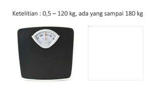 Macam-macam timbangan.pptx