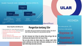 Macam-macam Toksin yang berbahaya bagi manusia.pptx