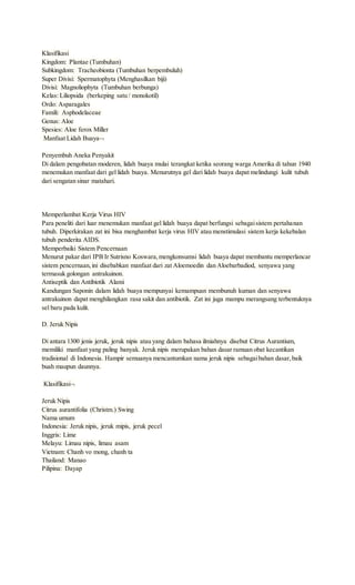 Macam apotik hidup | DOCX