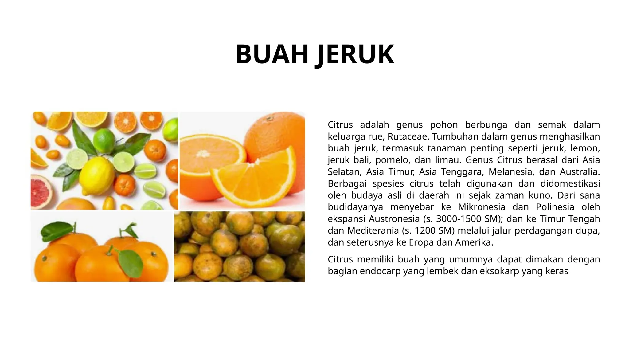 Macam dan jenis buah segar beserta penjelasannya.pptx