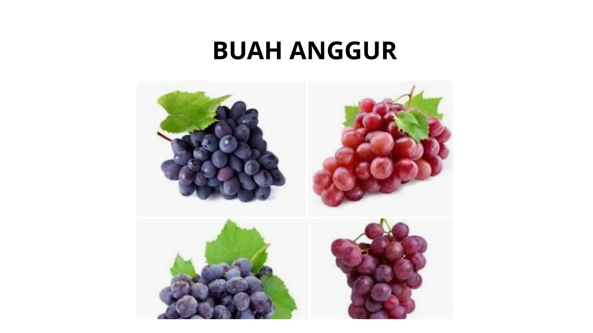 Macam dan jenis buah segar beserta penjelasannya.pptx