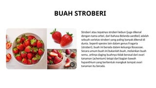 Macam dan jenis buah segar beserta penjelasannya.pptx