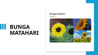 Macam dan jenis bunga beserta penjelasannya.pptx