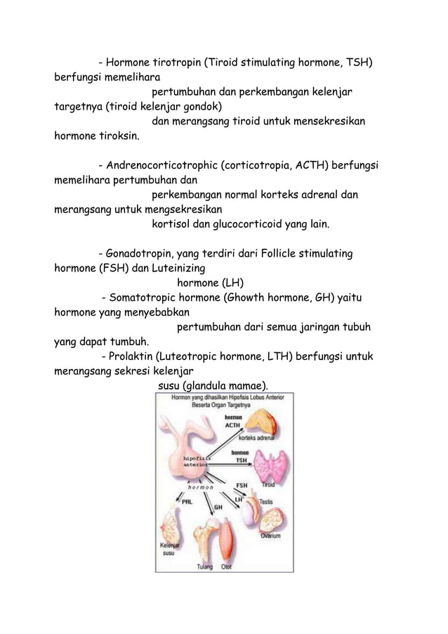Macam hormon yang dihasilkan sistem endokrin | PDF