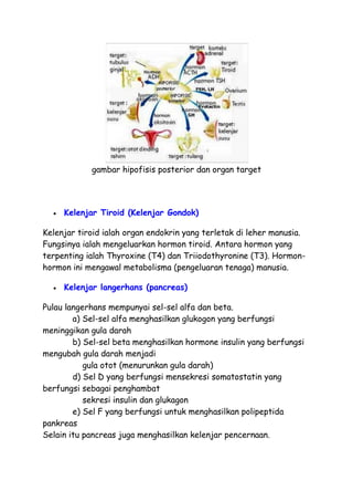 Macam hormon yang dihasilkan sistem endokrin | PDF