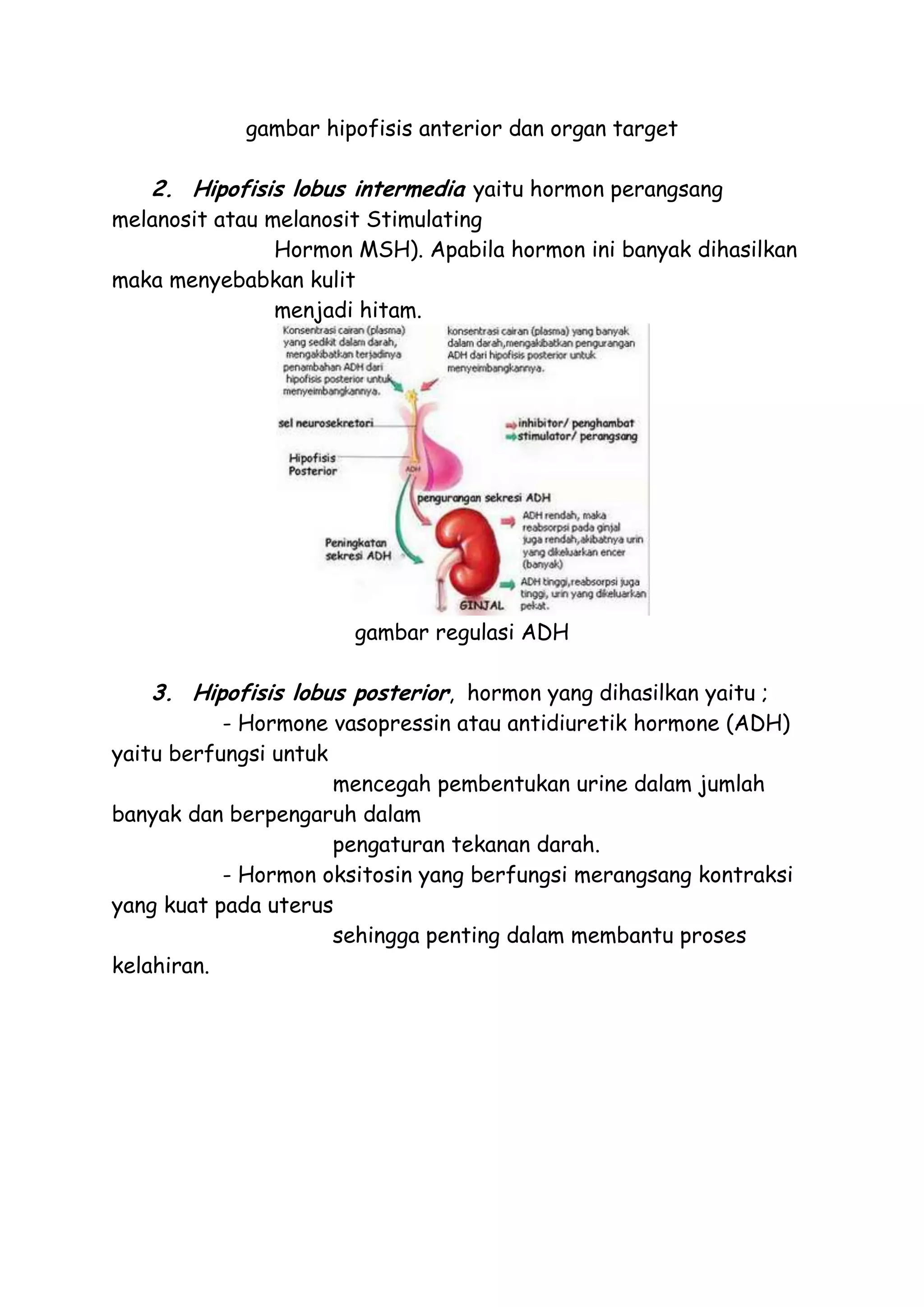 Macam hormon yang dihasilkan sistem endokrin | DOCX
