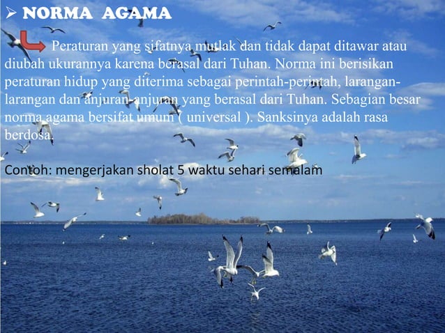 Macam macam norma | PPTX