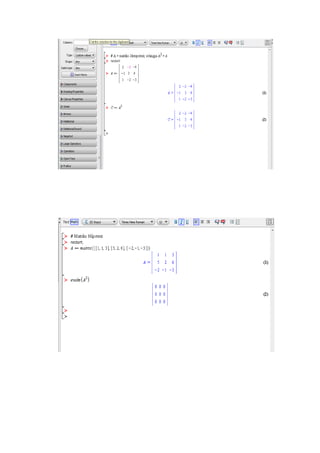 Macam matriks dg program maple | DOC